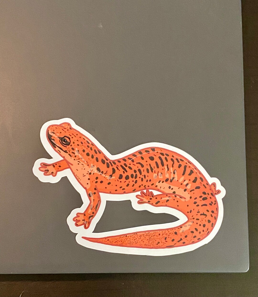 Red Salamander Waterproof Sticker - Etsy
