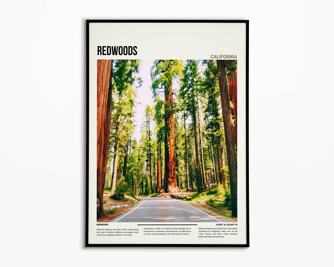 Redwood Poster, Redwood National Park Custom Travel Poster, Redwood ...