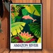 Amazon River Poster - Framed Victoria Regia Water Lily Print - Amazon ...