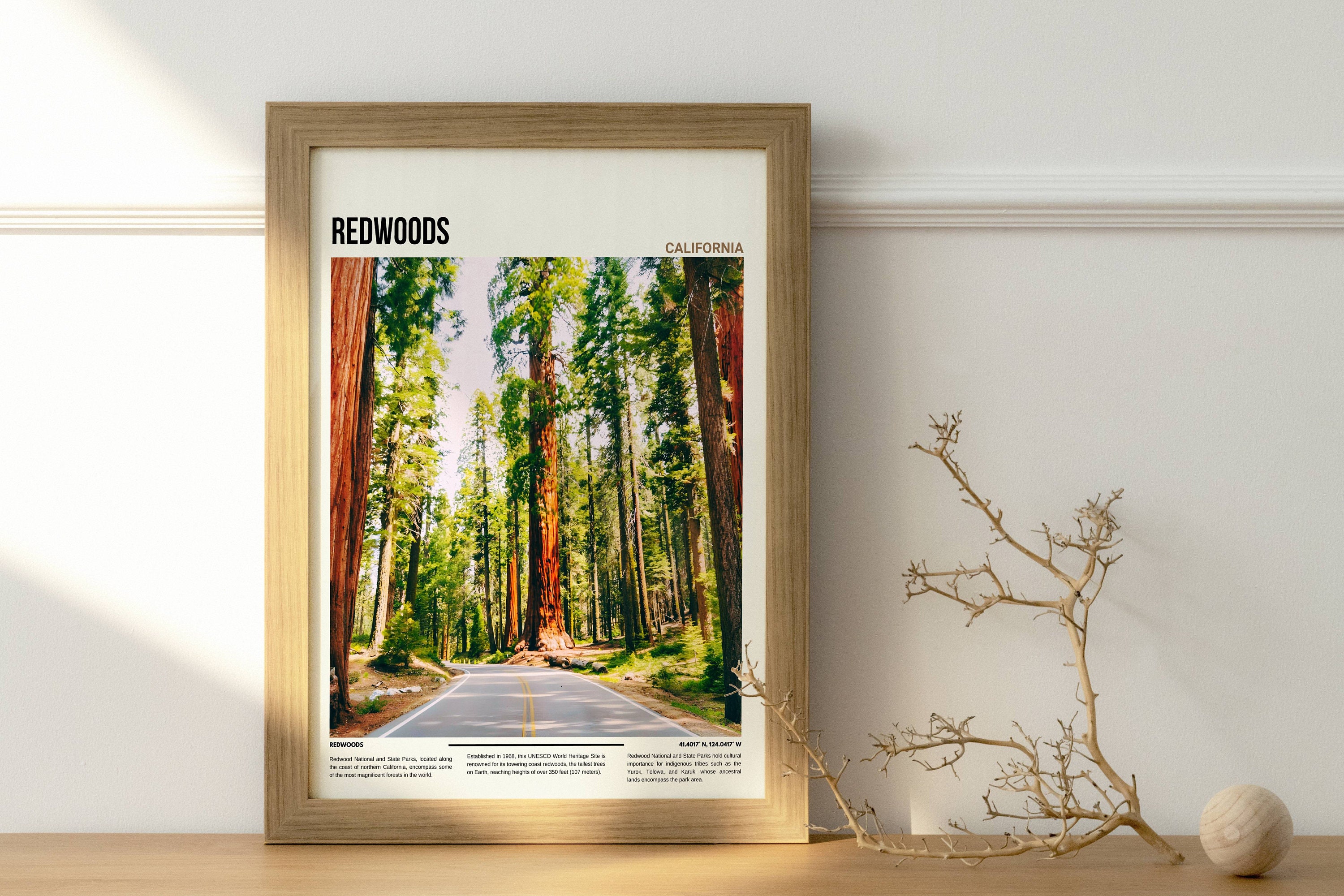 Redwood Poster, Redwood National Park Custom Travel Poster, Redwood ...