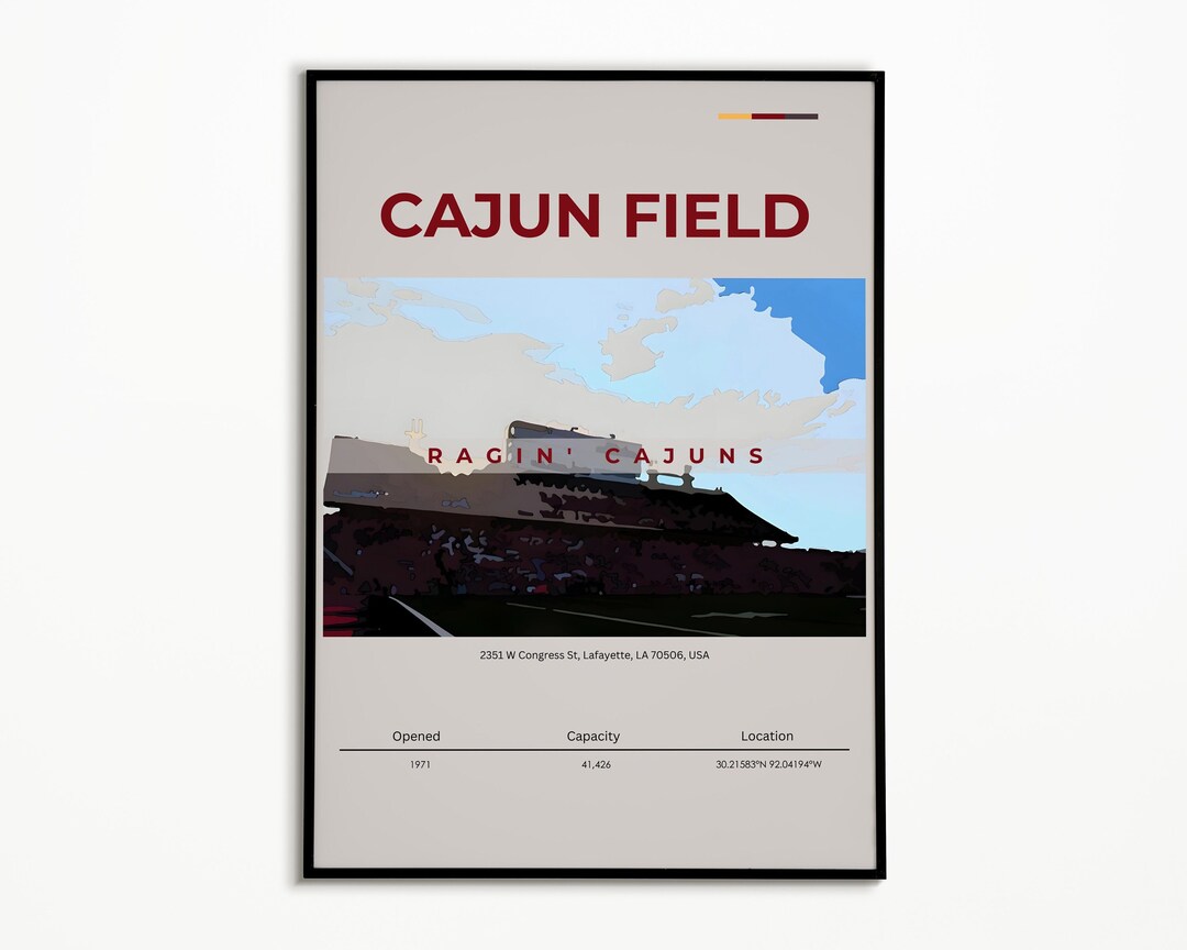 Cajun Field Wall Art-a Minimalistic NCAA Stadium Print Art for ...