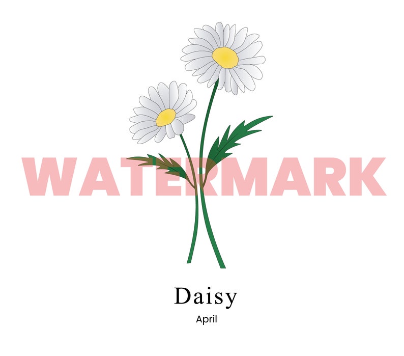 April Daisy Birth Month Flower SVG, Floral & Botanical Svg, Flower ...