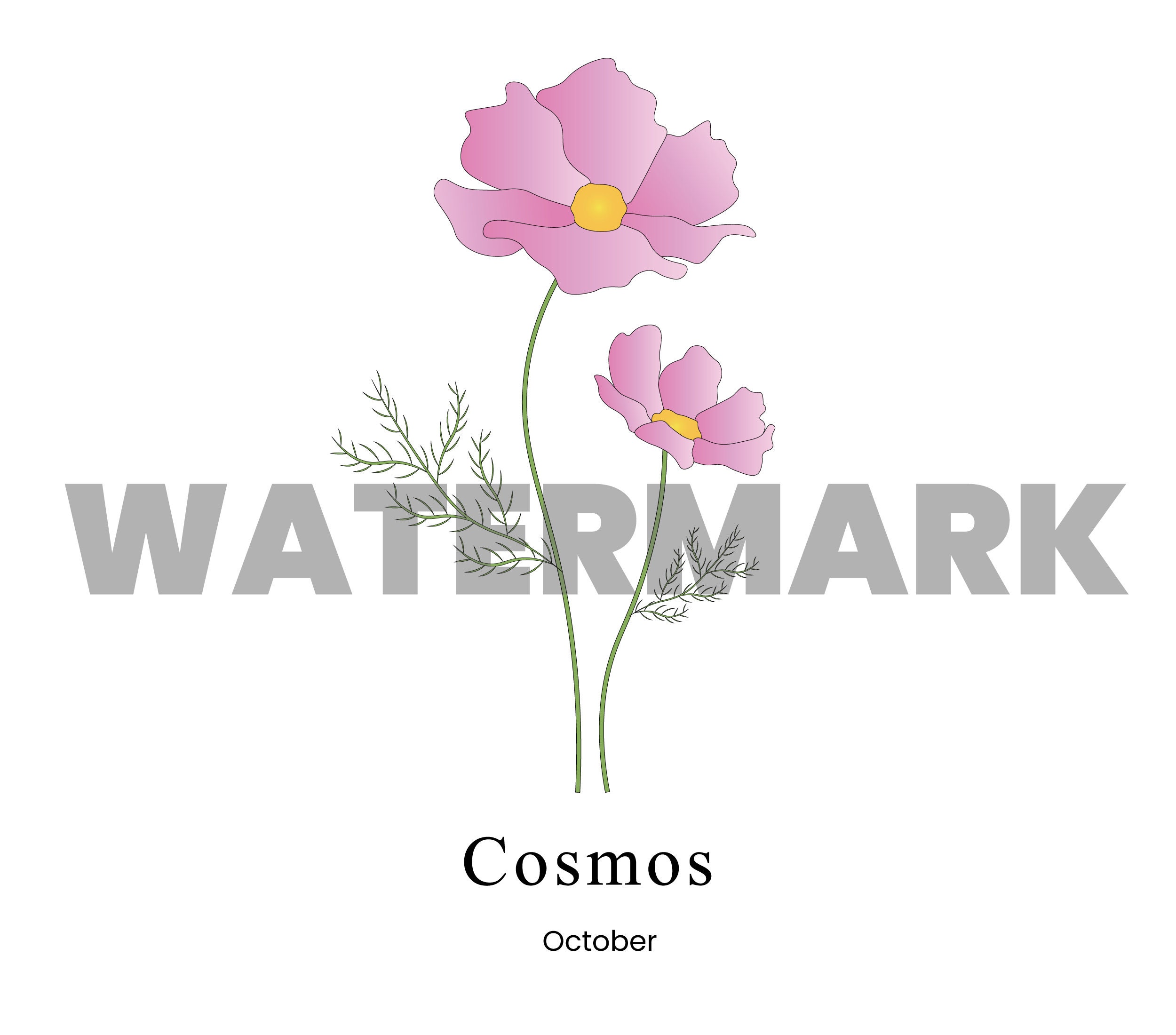 October Cosmos Birth Month Flower SVG, Floral & Botanical Svg, Flower ...