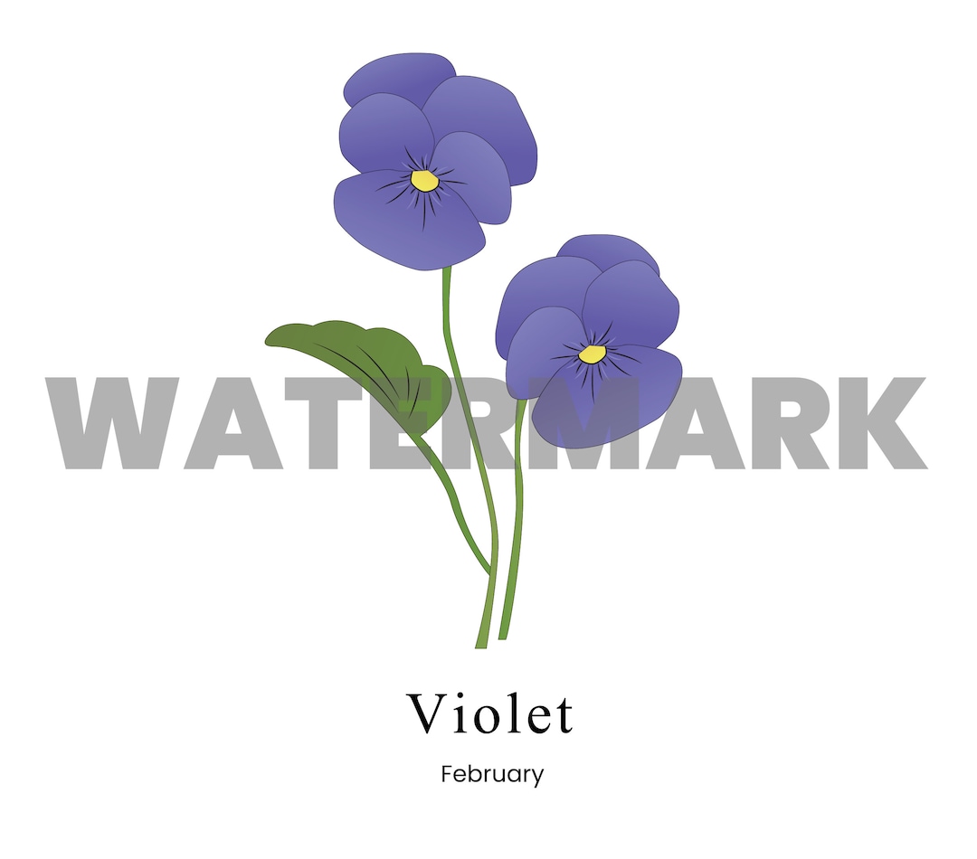 February Violet Birth Month Flower SVG, Floral & Botanical Svg, Flower ...