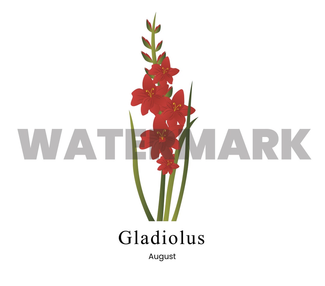 August Gladiolus Birth Month Flower SVG, Floral & Botanical Svg, Flower ...