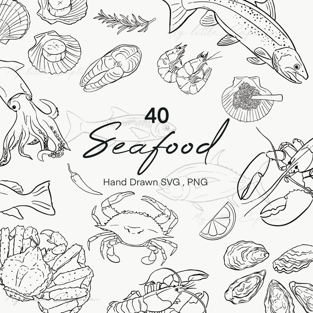 40 Seafood Vector Illustrations – Hand Drawn SVG & PNG Clipart - Etsy