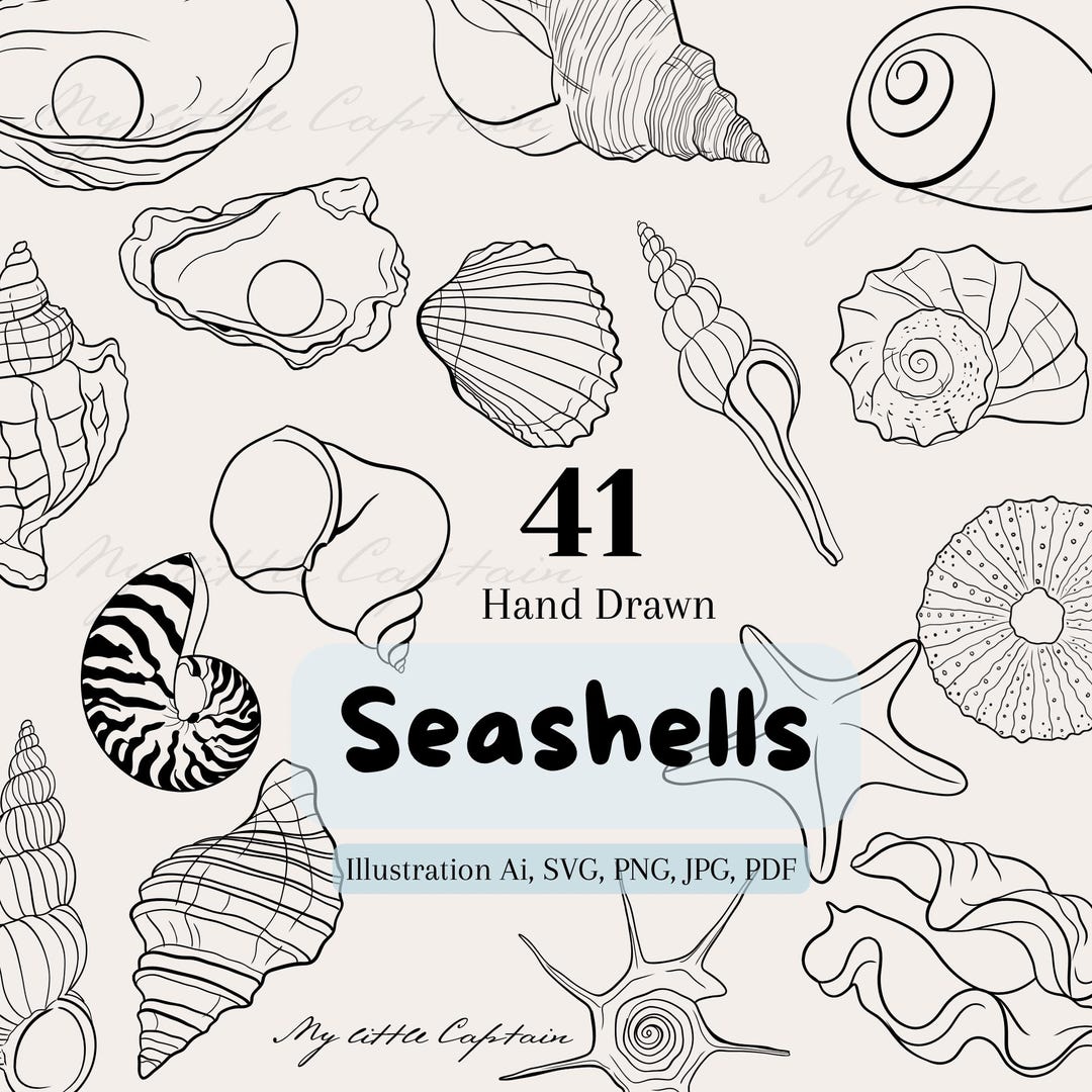 Hand Drawn Seashells Clipart: Coastal Line Art (svg, Png, Pdf, Jpg, Ai ...