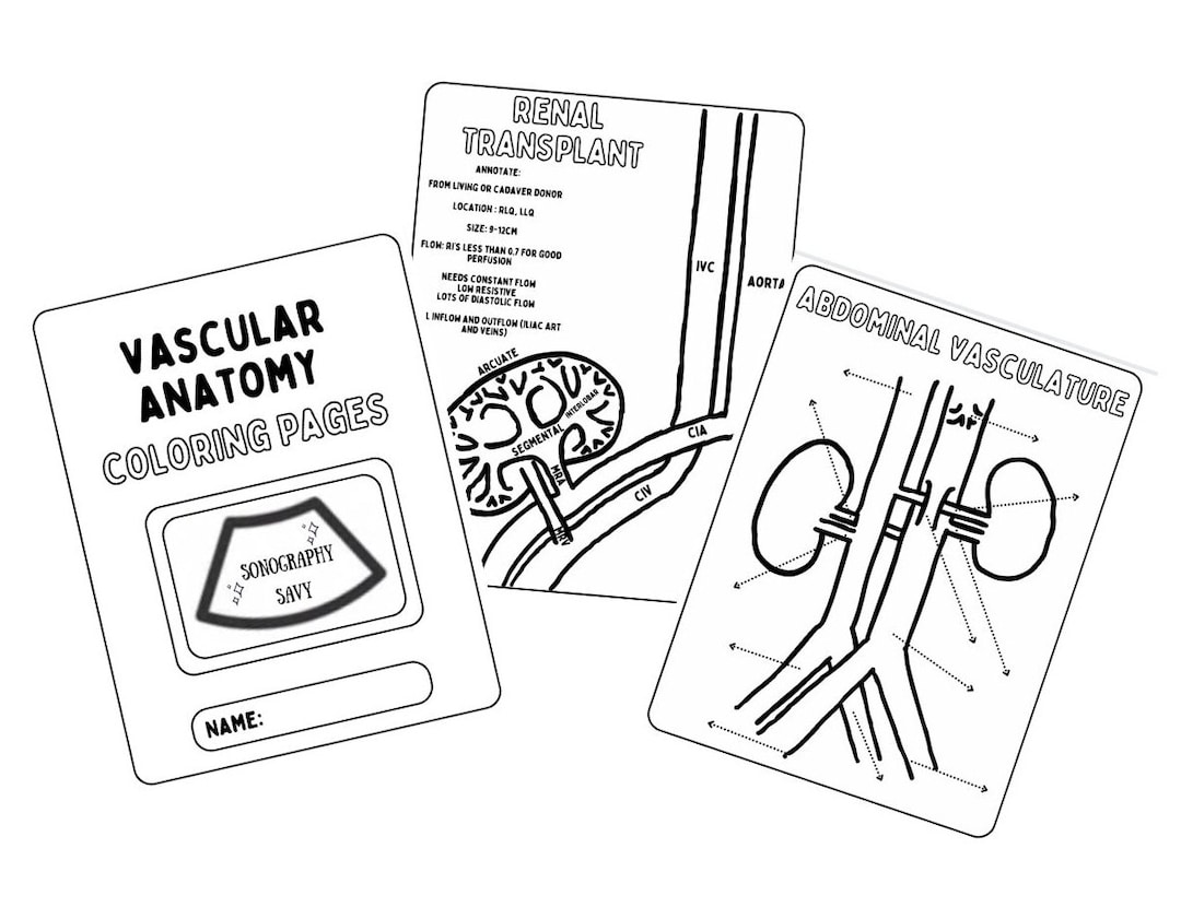 Vascular Anatomy Coloring Books- DIGITAL DOWNLOAD - Etsy
