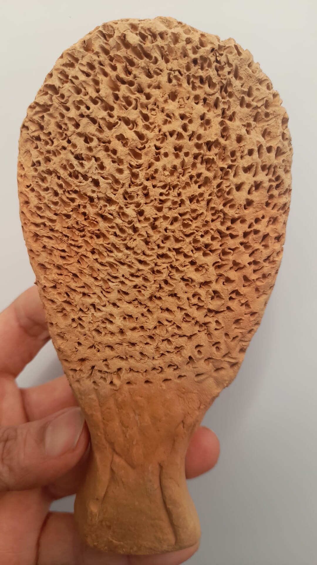 Clay Foot Pumice Stone for the Smoothness of Foot Heals and Hard Skin ...