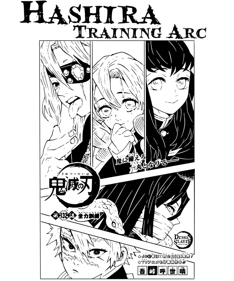 Demon Slayer Hashira Training Arc Manga Shirt front - Etsy