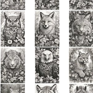 Digital Colouring Book Wild Animals. for Children and Adults. 12 ...