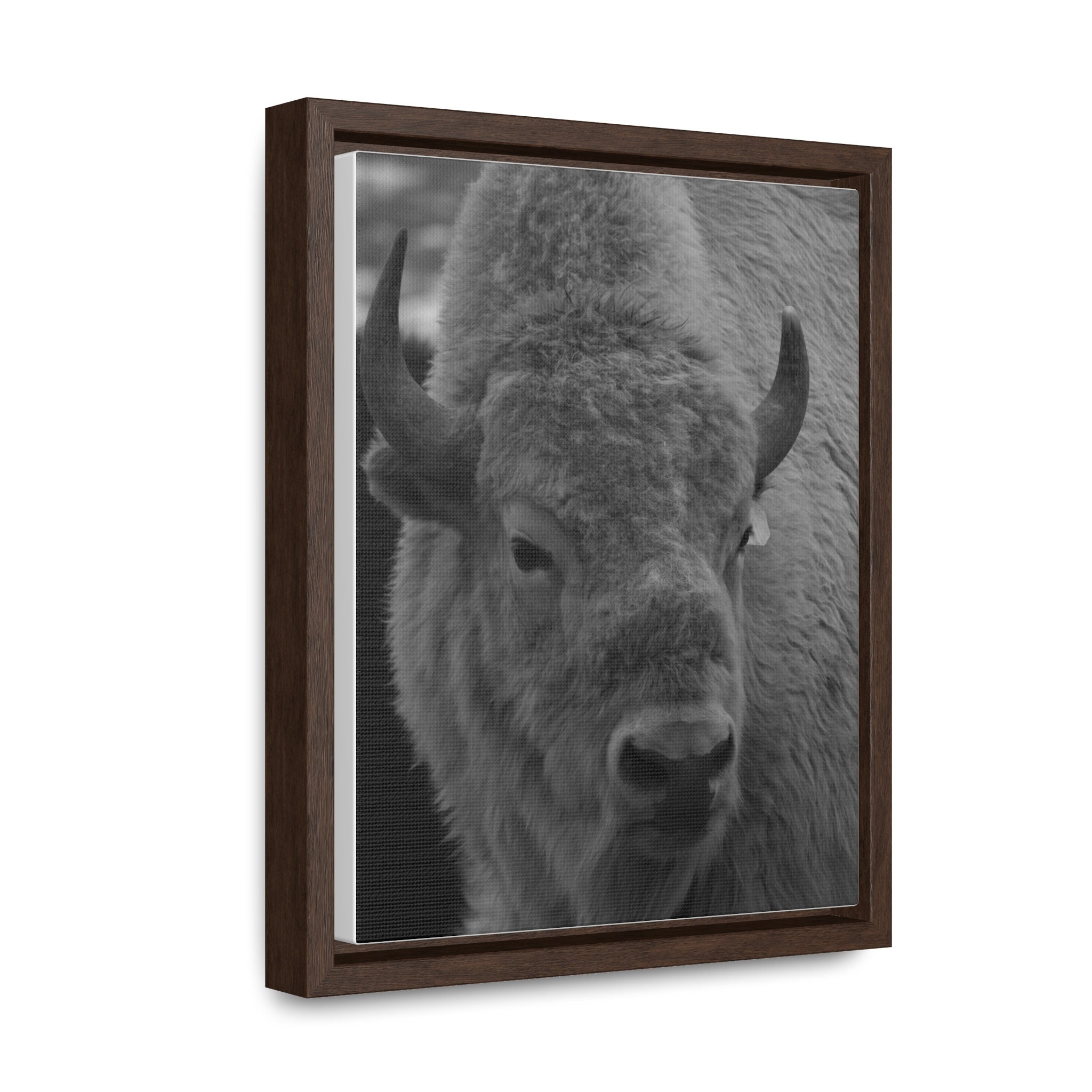 Black and White Buffalo Canvas Photo framed Photo - Etsy