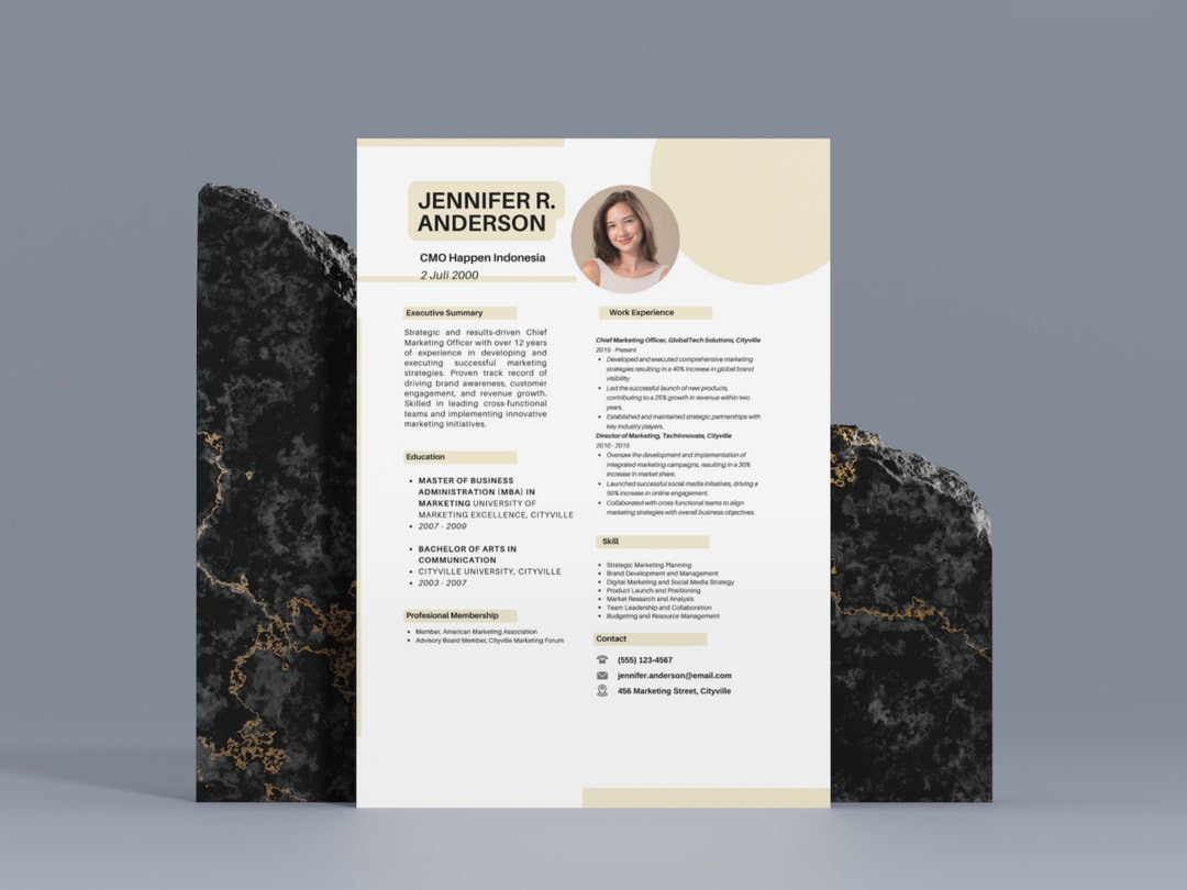 Canva Resume Template Professional CV Template Canva - Etsy