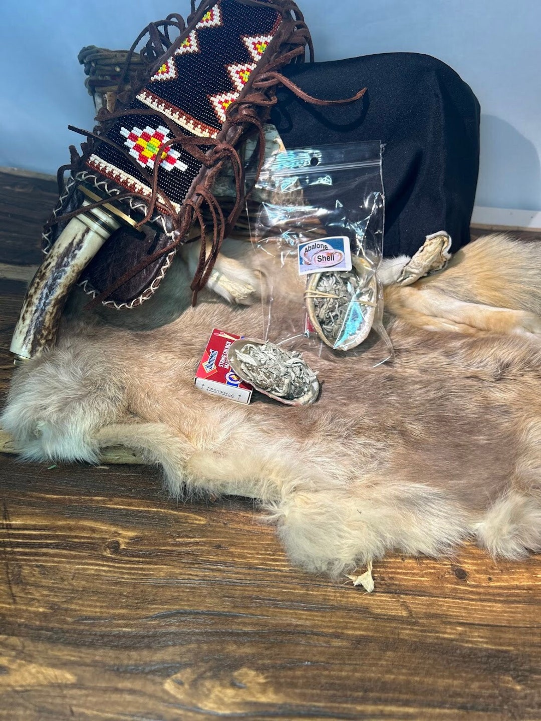 Small Abalone Shell - Etsy