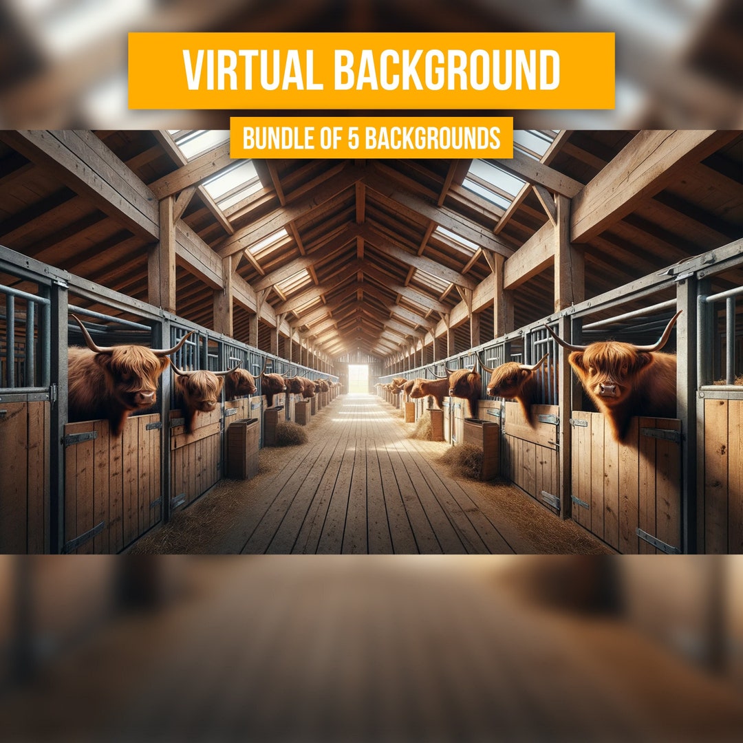 Cute Highland Cows Fun Virtual Background Bundle of 5 Perfect ...