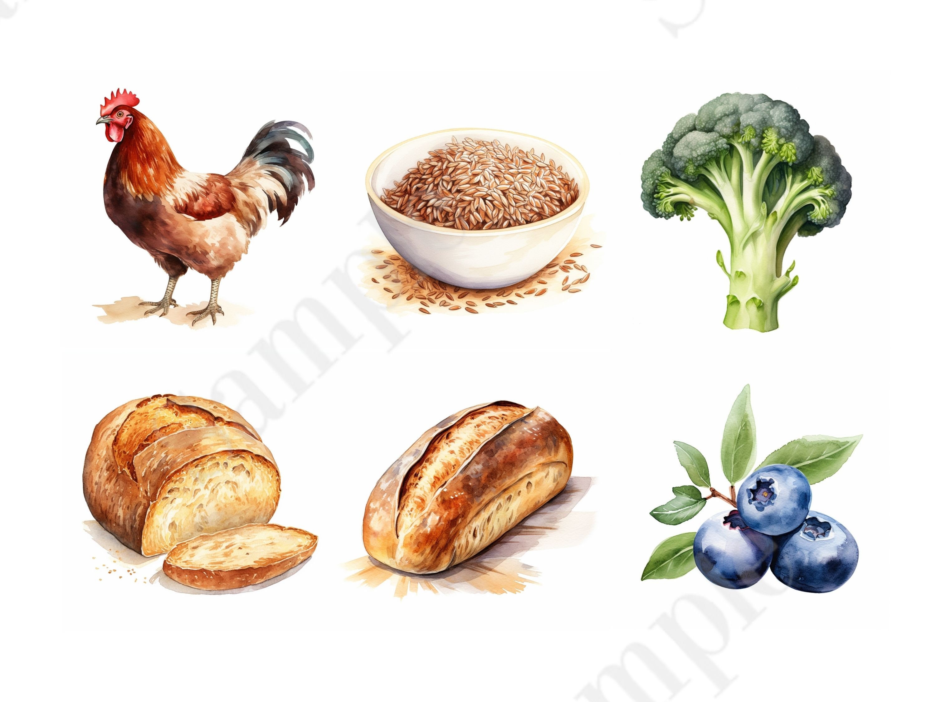 Watercolor Healthy Food 23 Clipart, Healthy Vegetable Clipart, Food ...