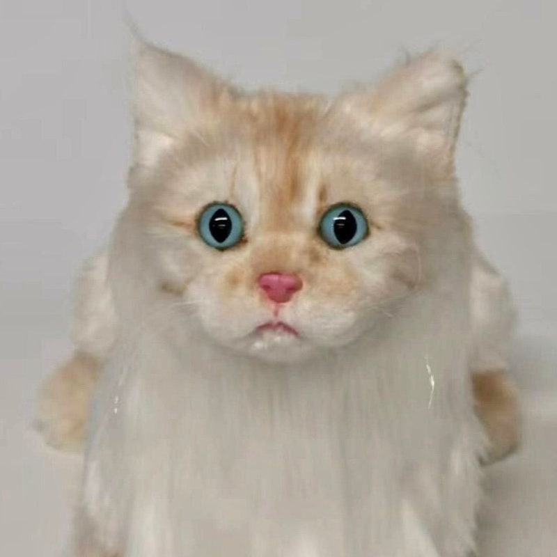 Cuddly Tabby Cat Toy - Etsy