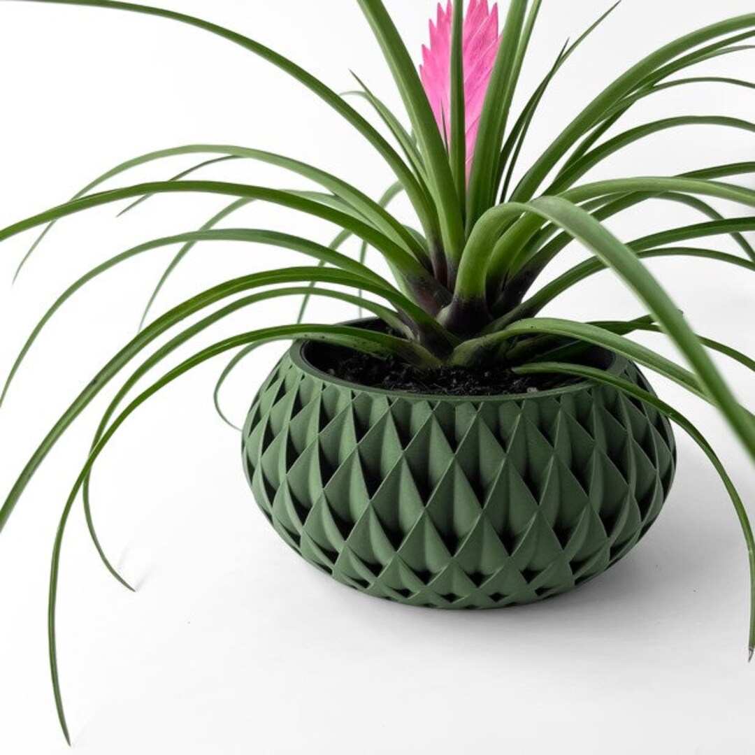 Diamond Patterned Planter Pot Modern Design Planter Succulent House ...