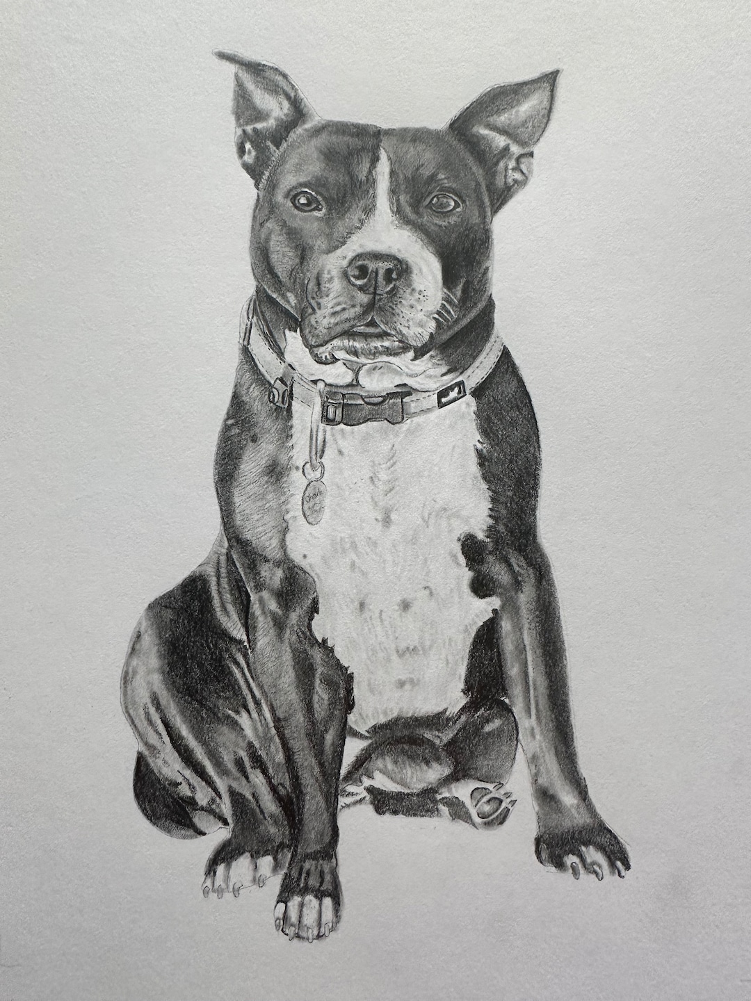 Dog Pencil Portraits A4 or A3 - Etsy