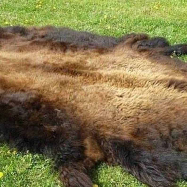 Bison Hide - Large - Etsy