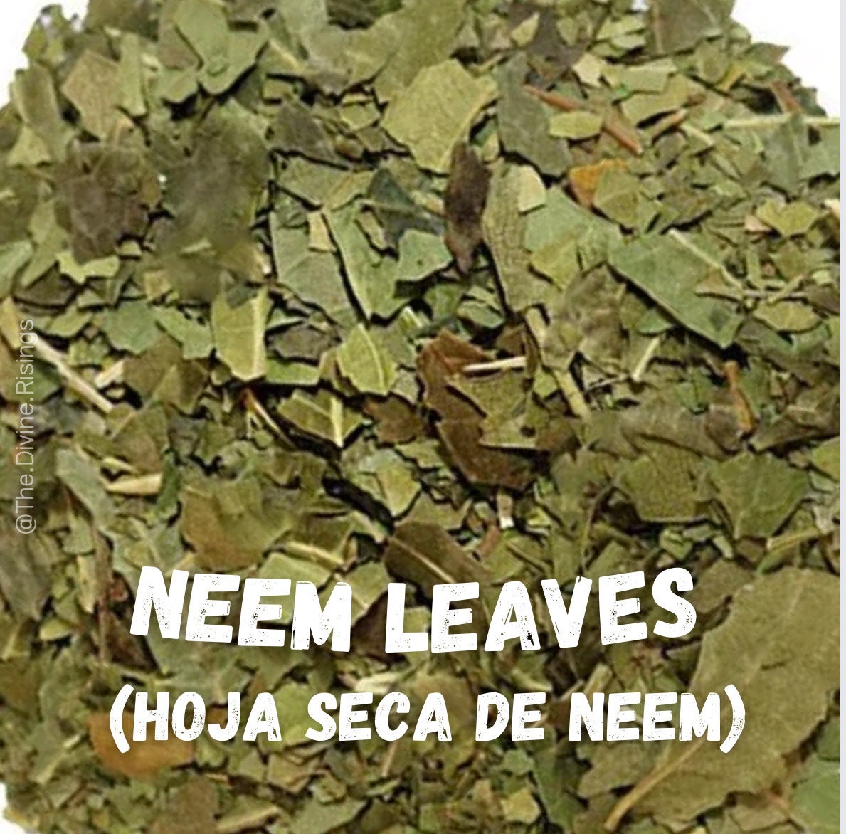Dried Neem Leaves ,hoja De Neem,hierbas a Granel, Té Para Salud ...