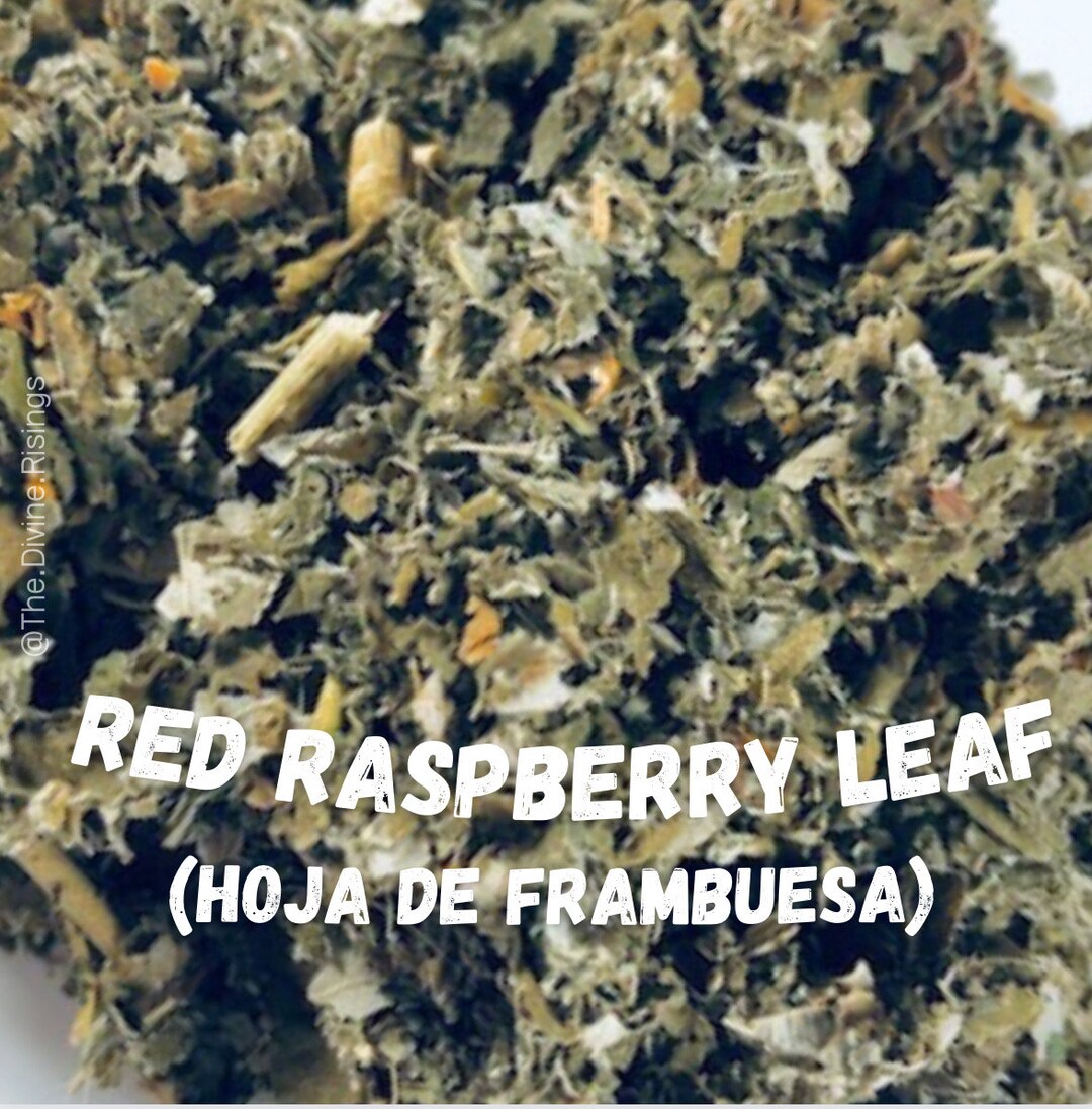 Red Raspberry Leaf (hoja De Frambuesa) - Etsy