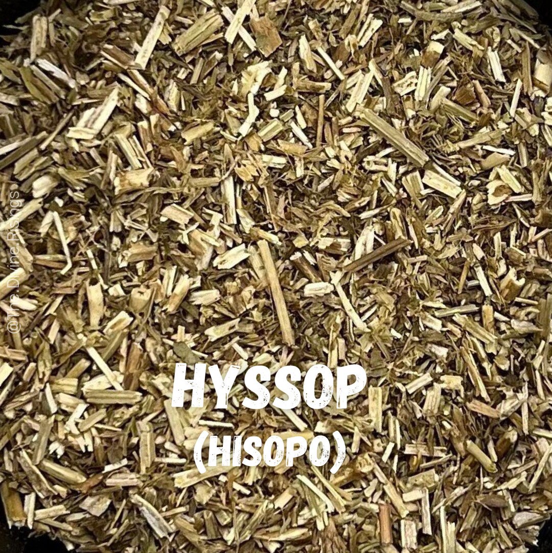 Hyssop Herb,hisopo, Hierbas a Granel, Oraganic Herbs, Orgánico, Quality ...
