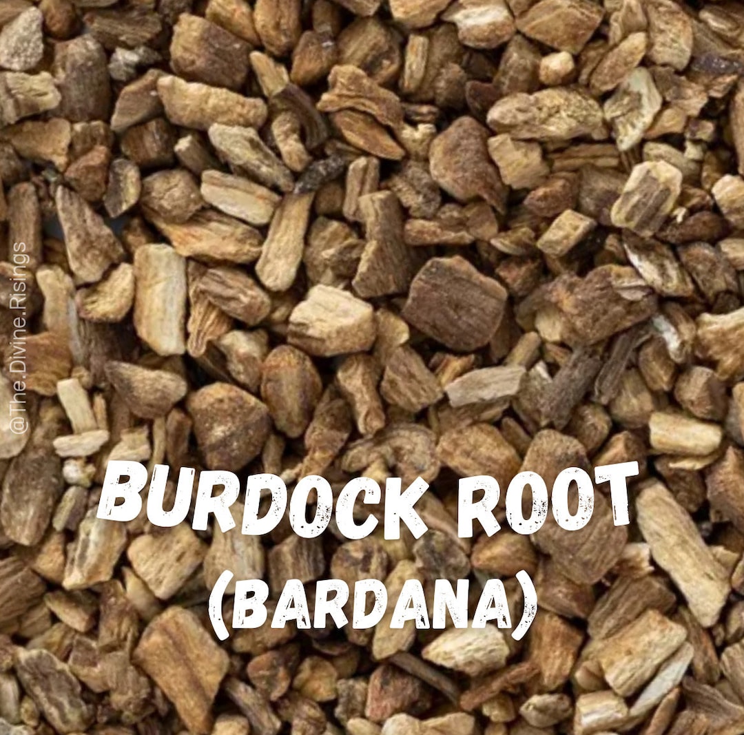 Dried Burdock Root (hierba Bardana) - Etsy