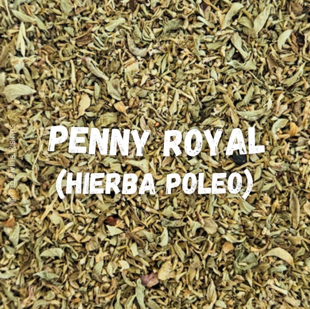 Penny Royal, Hierba Poleo,penny Royal Tea,te De Poleo, Bulk Herbs ...