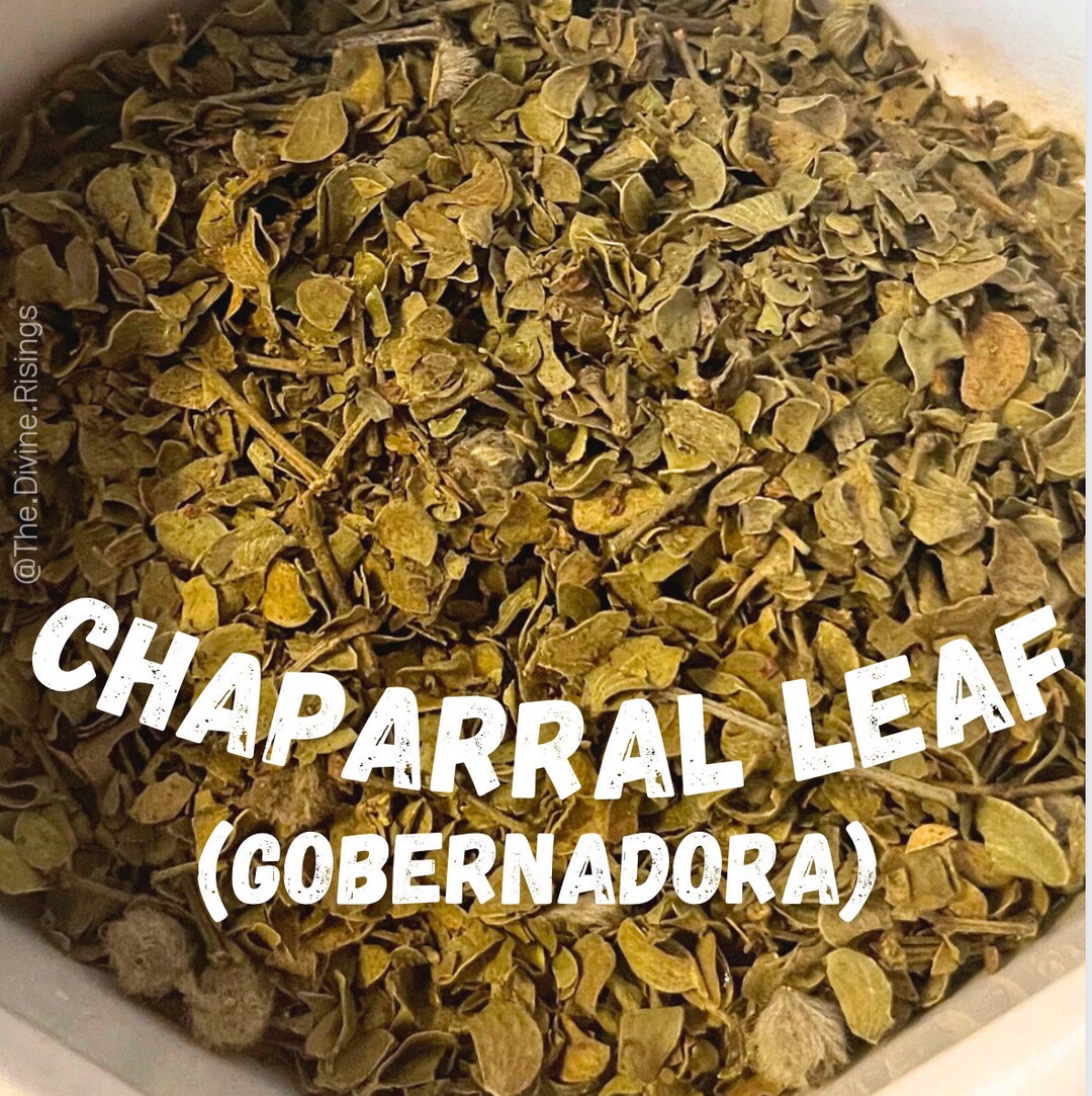 Chaparral Leaf Dried Herb (hierba Gobernadora) - Etsy