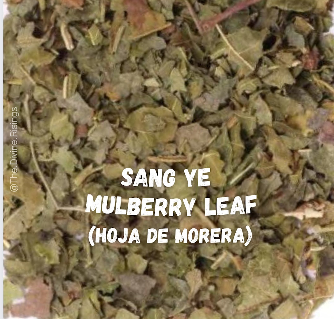 Dried Mulberry Leaf, Hoja De Morera, Sang Ye Herb, Hierbas a Granel ...