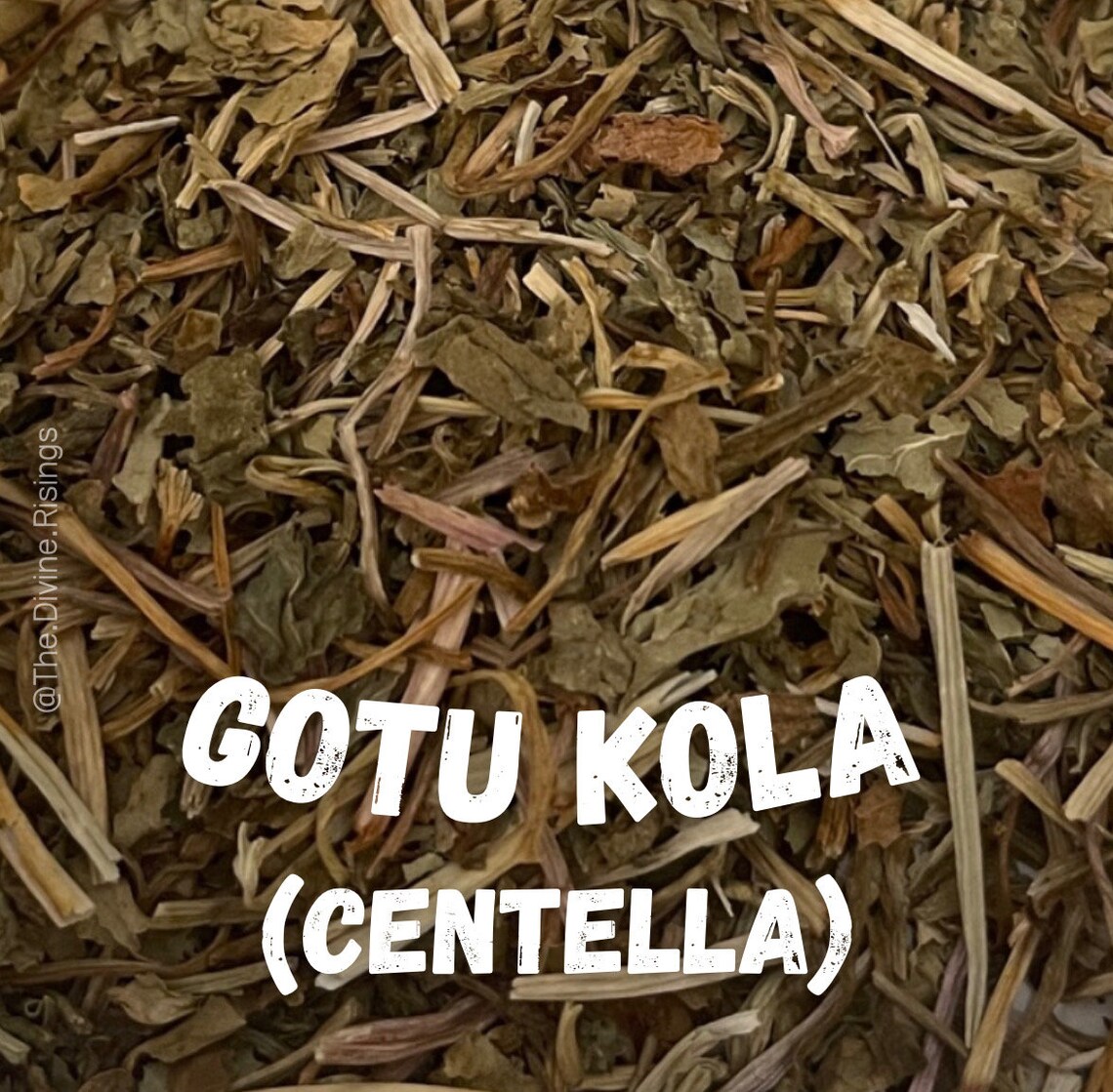 Dried Gotu Kola . Hierba De Centella. Quality Bulk Herbs. Ayurvedic ...