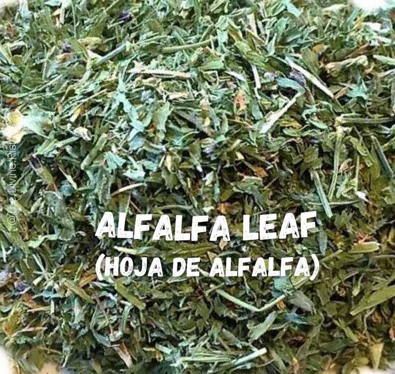 Alfalfa Leaf,hoja Alfalfa,herbal Tea, Hierbas a Granel, Oraganic Herbs ...