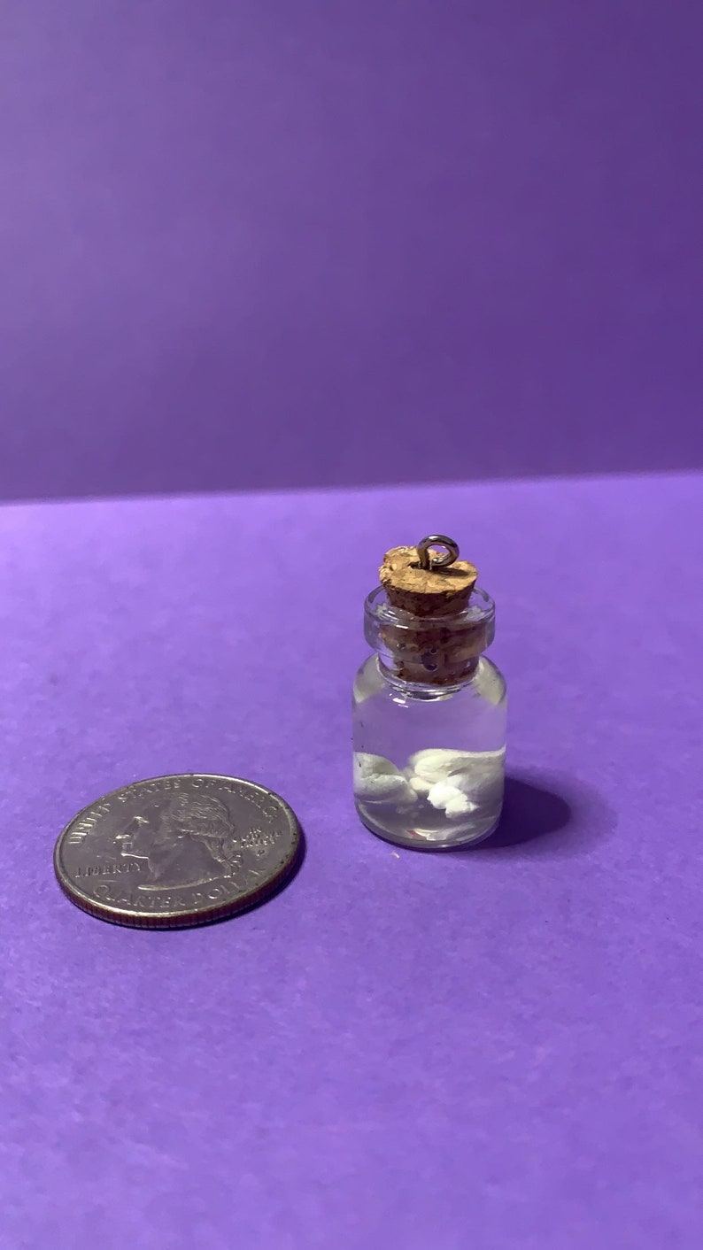 Miniature Clay Teeth Specimen Jar 1 Inch - Etsy