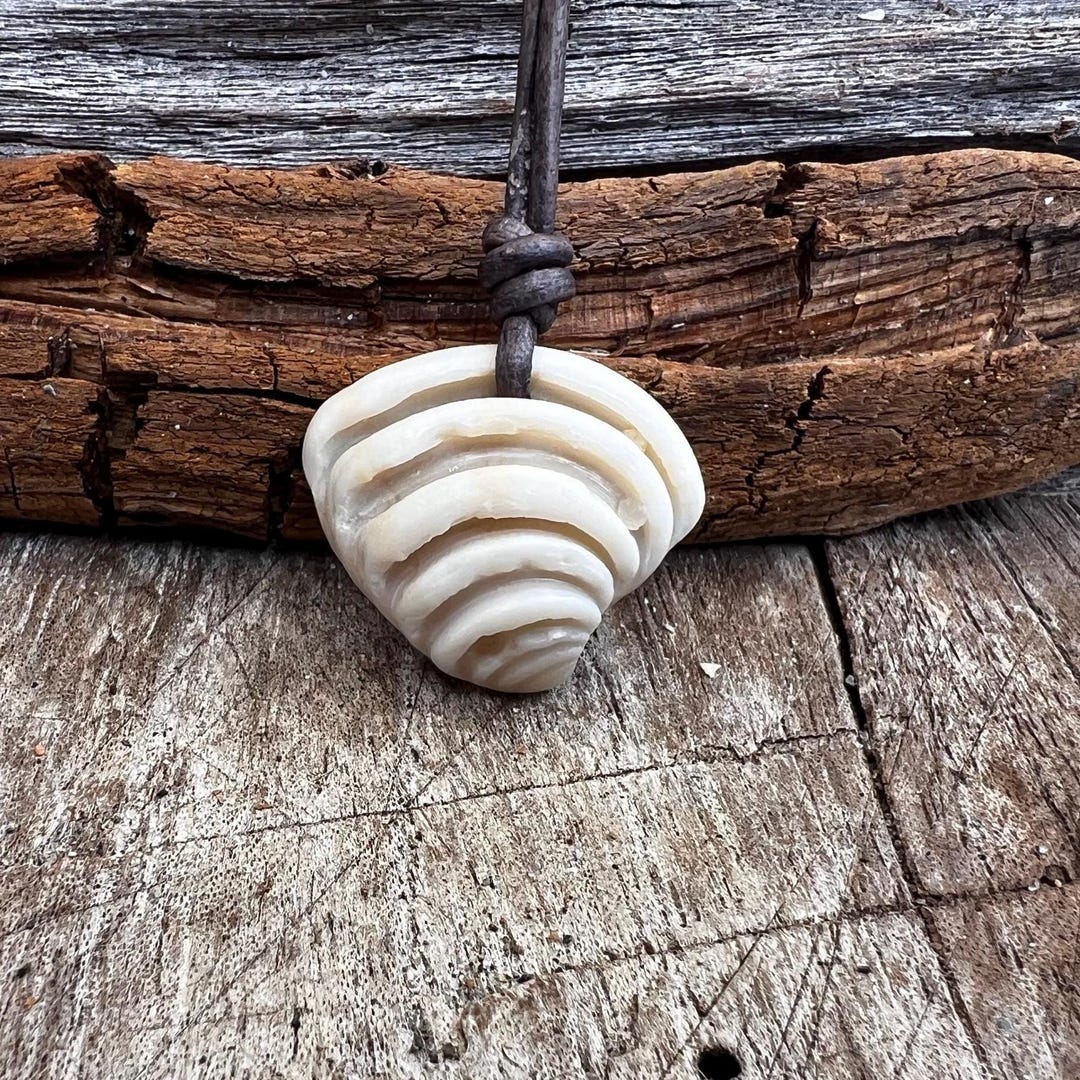 Imperial Venus Shell Necklace - Etsy