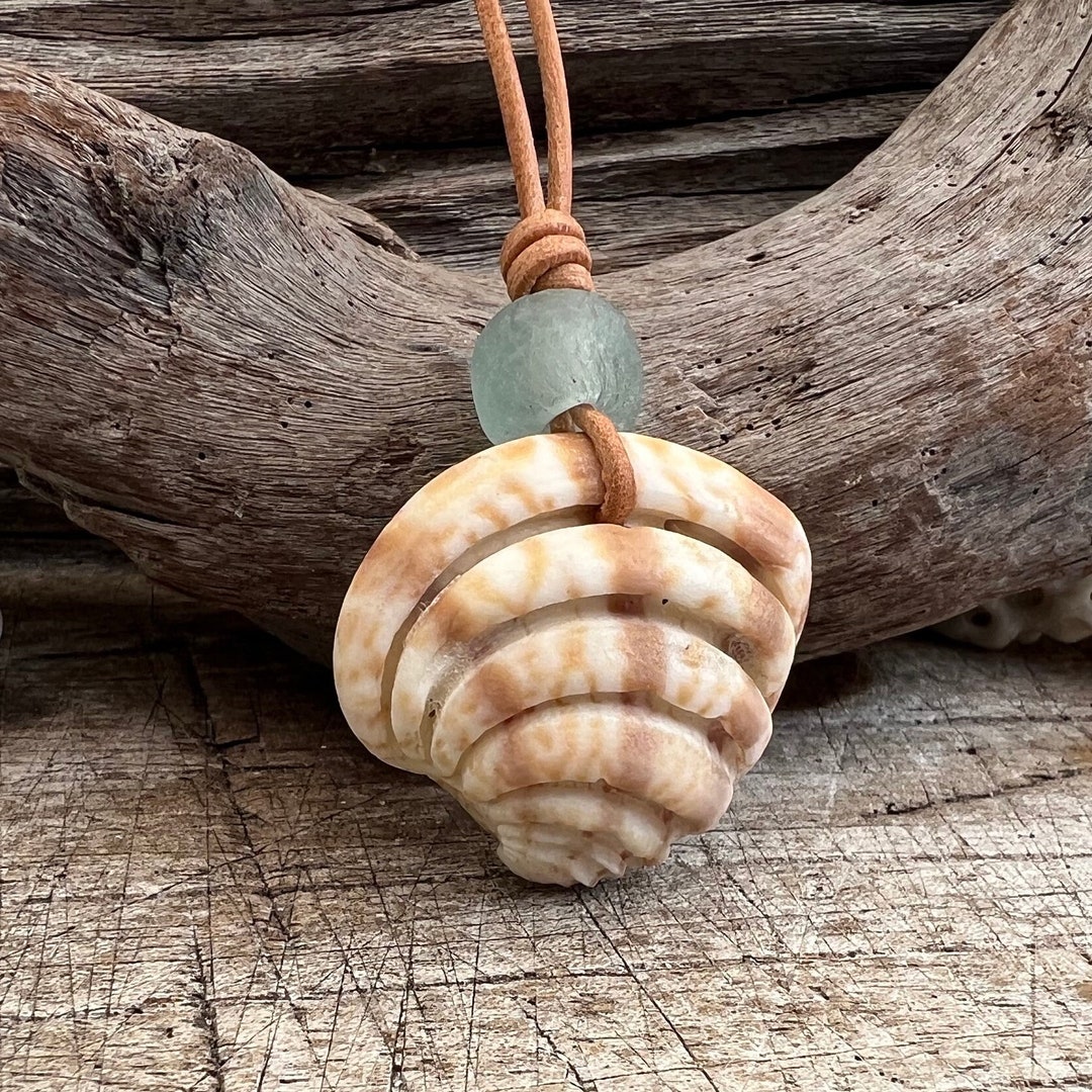 Imperial Venus Shell Necklace - Etsy