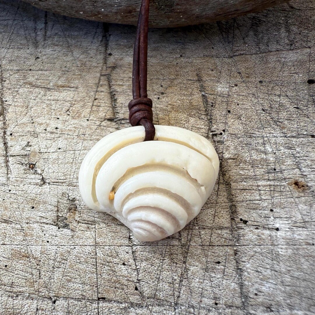 Imperial Venus Shell Necklace - Etsy