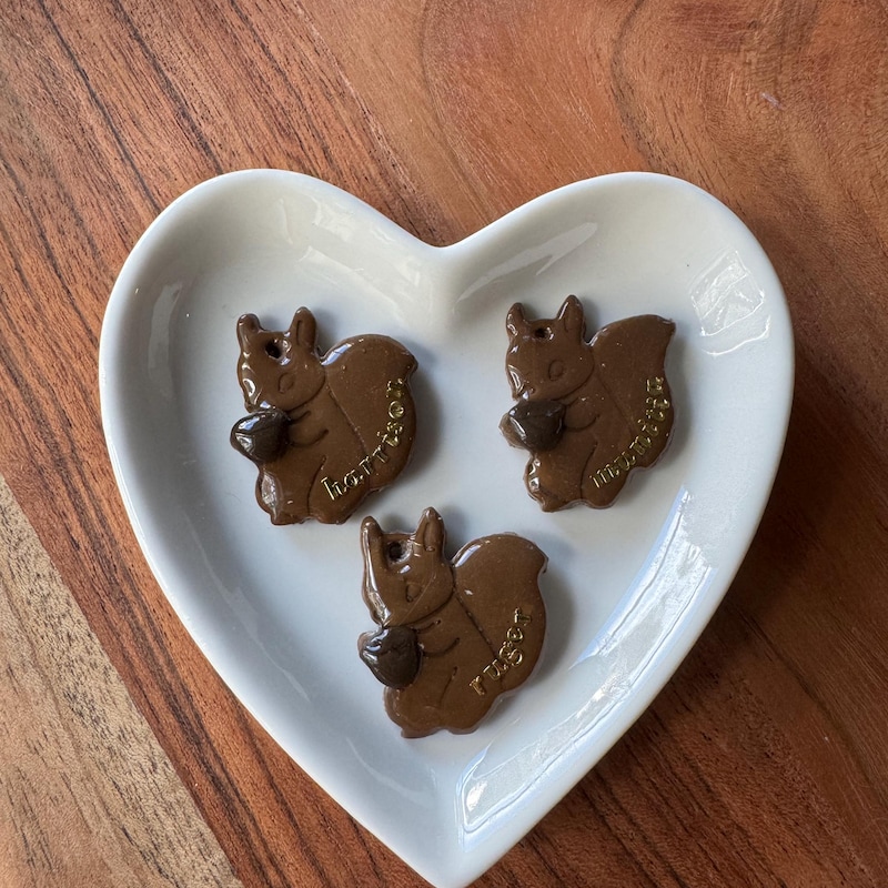 Squirrel Targets - Etsy