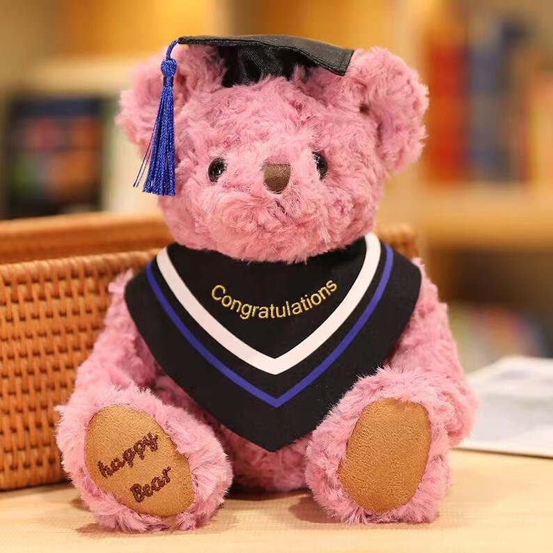 Personalized Graduation Teddy Bear Custom Printed Hood, 20 Cm 6 Color ...