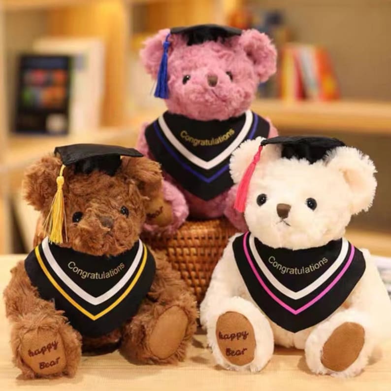 Personalized Graduation Teddy Bear Custom Printed Hood, 20 Cm 6 Color ...