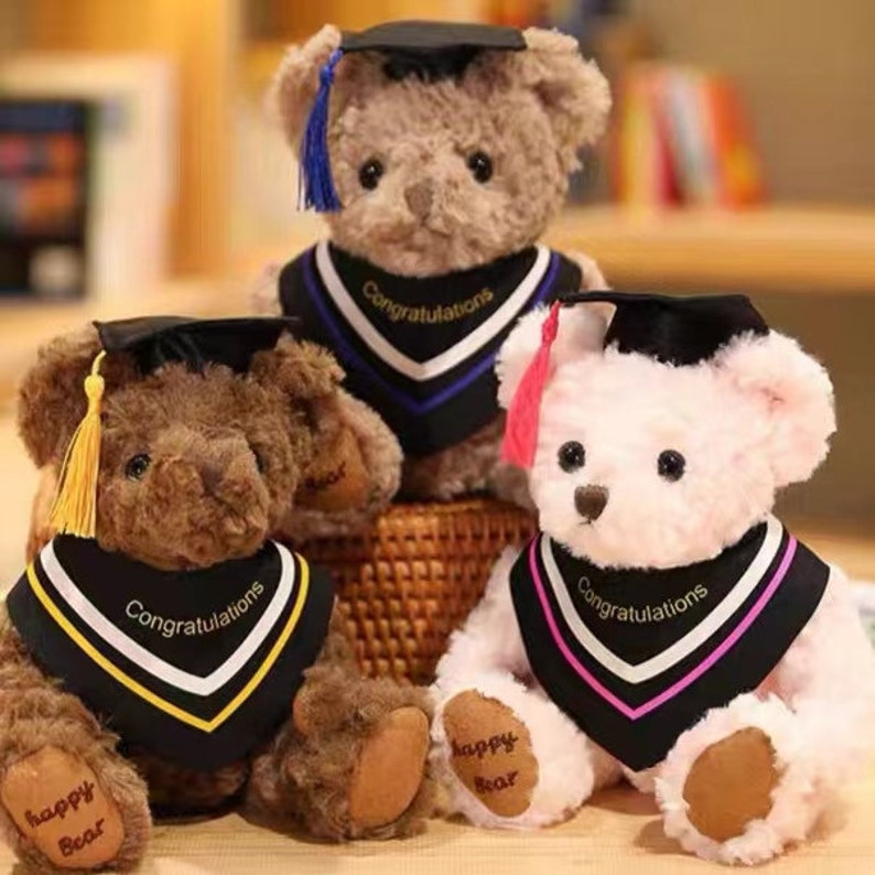 Personalized Graduation Teddy Bear Custom Printed Hood, 20 Cm 6 Color ...