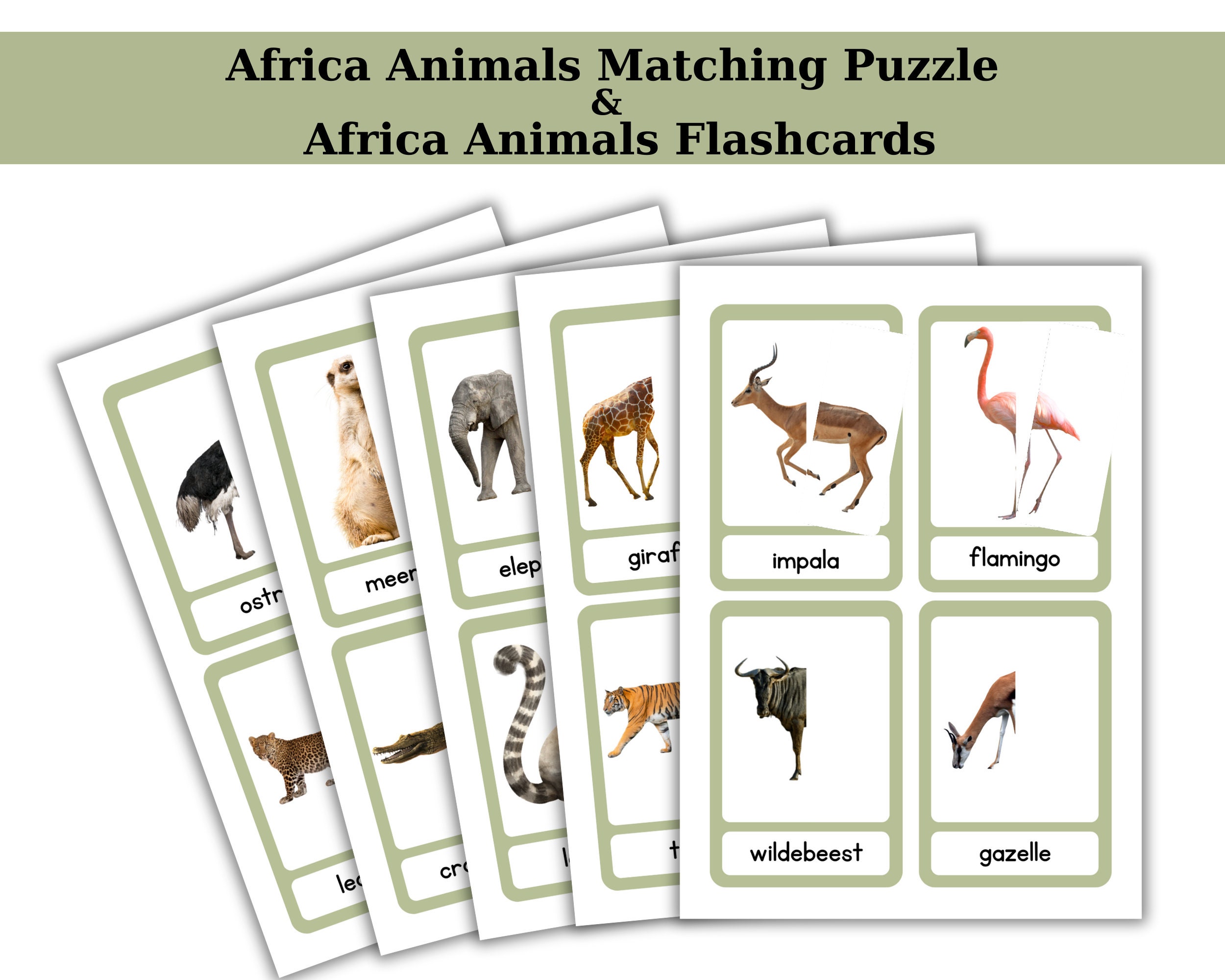 Africa Animals Matching Puzzle, Africa Animals Flashcards, Matching ...