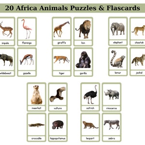 Africa Animals Matching Puzzle, Africa Animals Flashcards, Matching ...