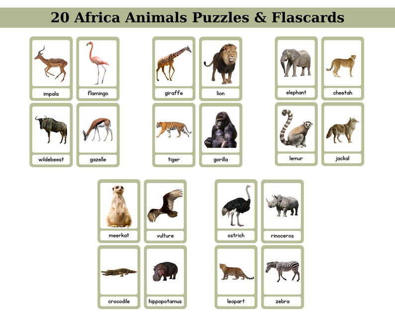 Africa Animals Matching Puzzle, Africa Animals Flashcards, Matching ...