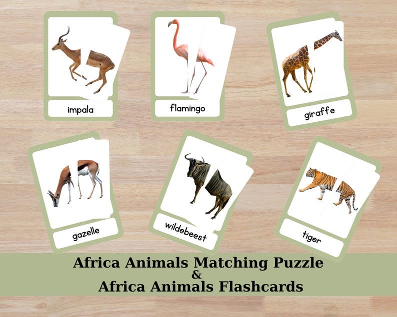 Africa Animals Matching Puzzle, Africa Animals Flashcards, Matching ...