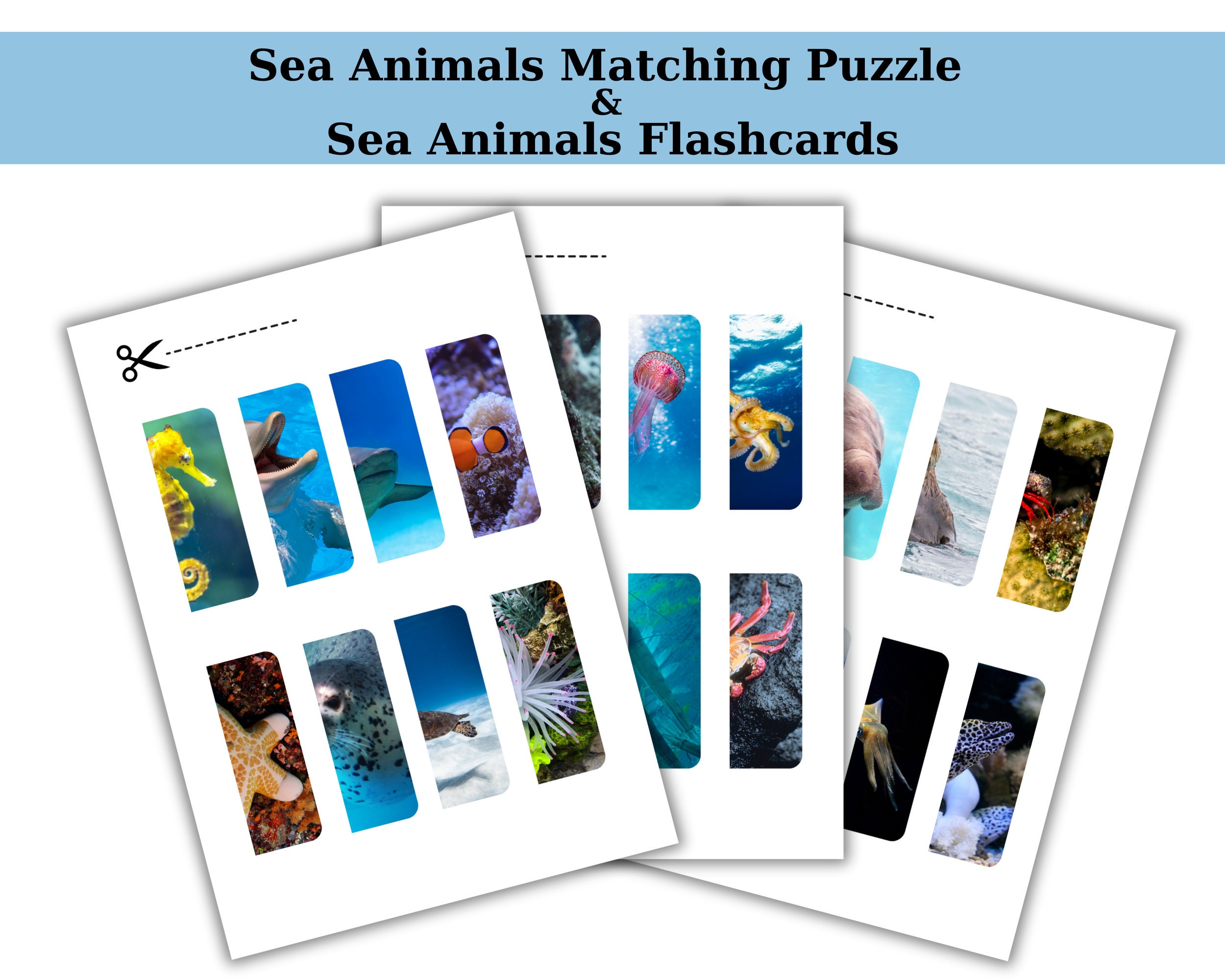 Sea Animals Matching Puzzle, Sea Animals Flashcards, Matching Cards ...