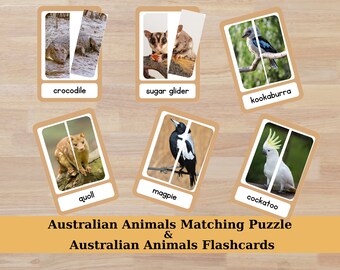 Africa Animals Matching Puzzle, Africa Animals Flashcards, Matching ...