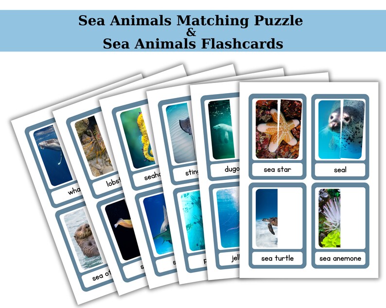 Sea Animals Matching Puzzle, Sea Animals Flashcards, Matching Cards ...