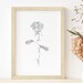 Rose Line Drawing - Minimalist Botanical Print - Detailed Contour ...