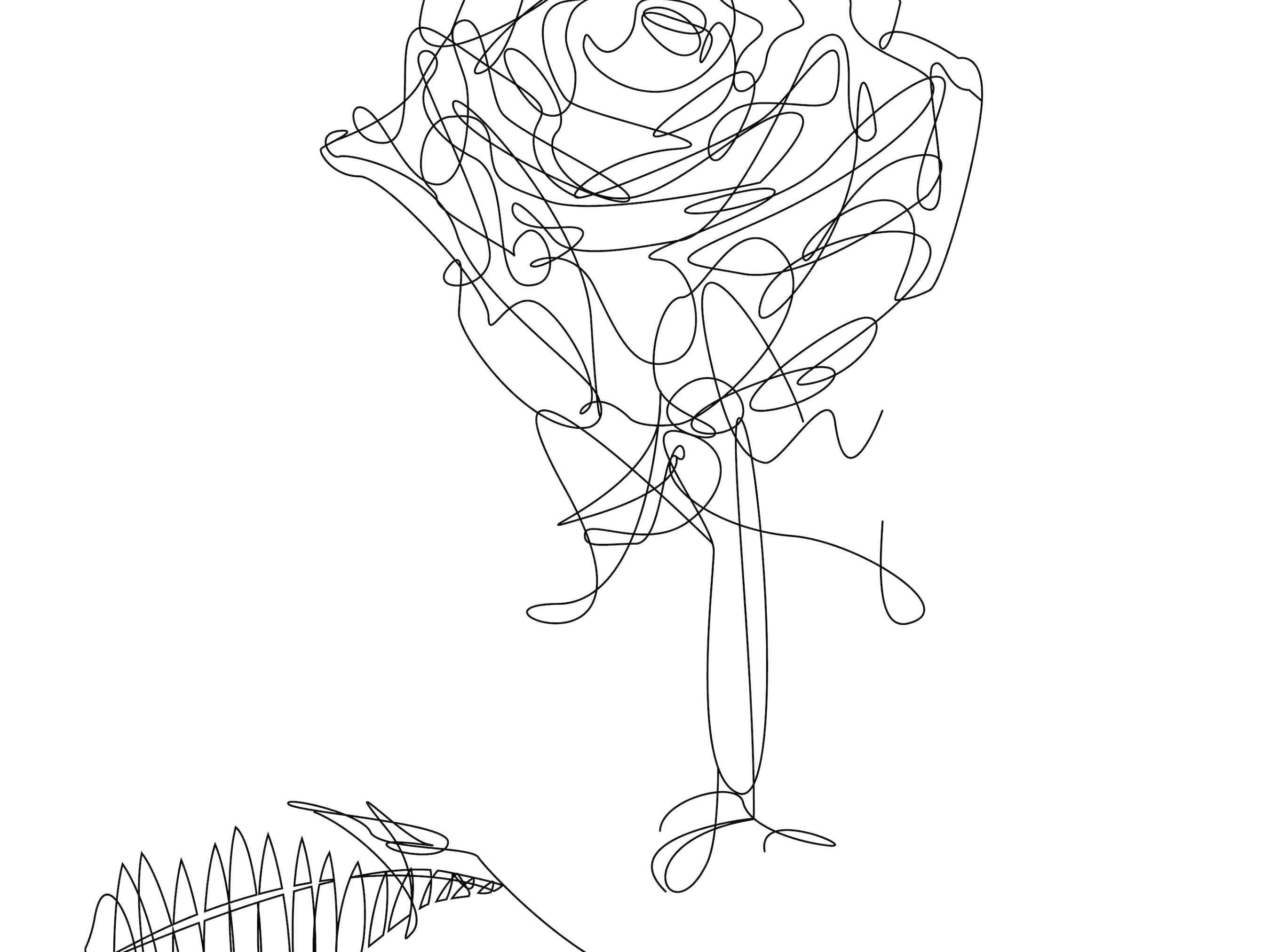 Rose Line Drawing - Minimalist Botanical Print - Detailed Contour ...